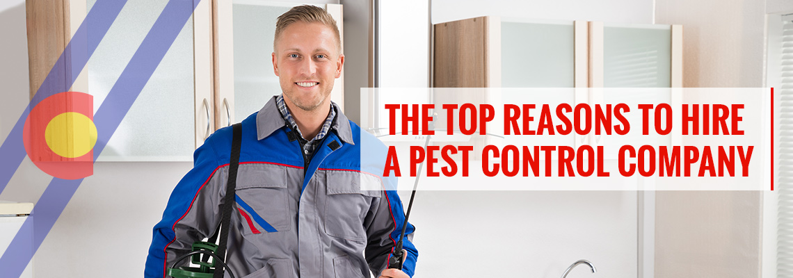 The Top Reasons To Hire A Pest Control Company - Colorado Pest Management