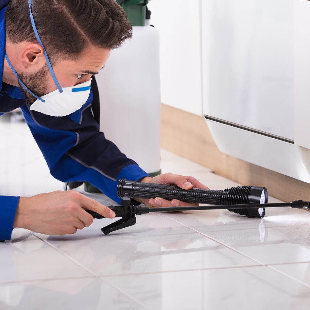 What Makes Our Colorado Pest Control Team Different? - Colorado Pest ...